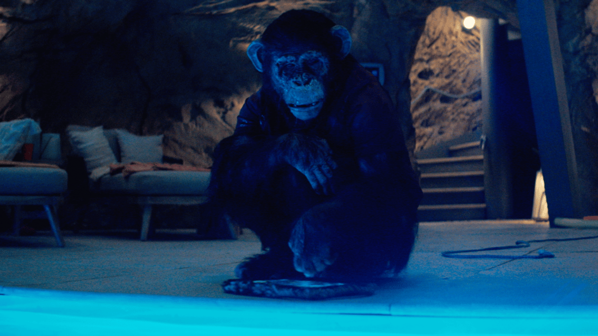 'Primate' review: Old-school animal attack horror is a breath of fresh air