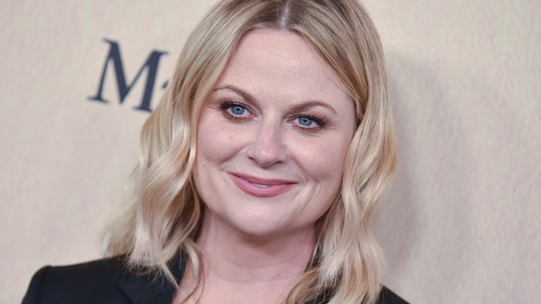 What the cast of Parks and Recreation is up to today