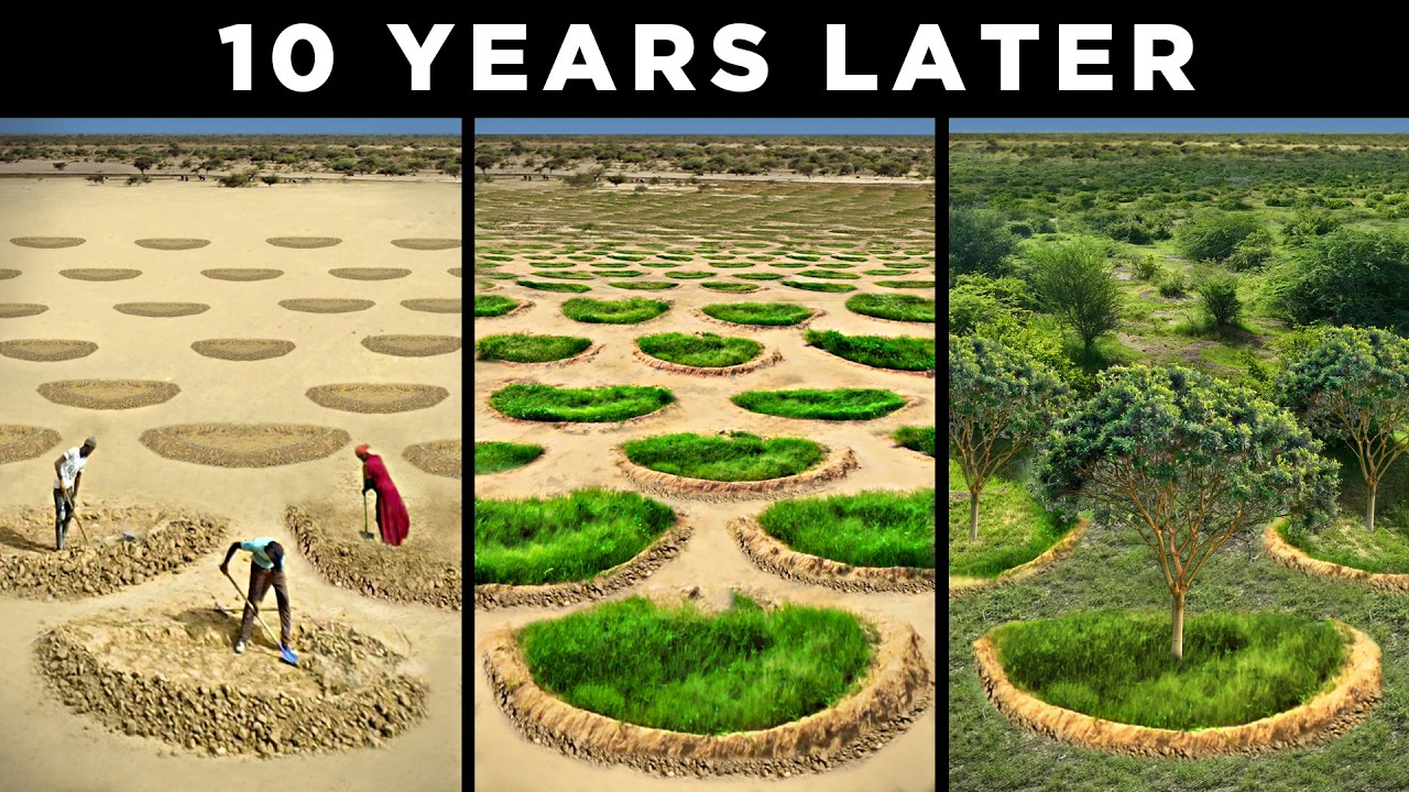 I explored Africa's food forest project