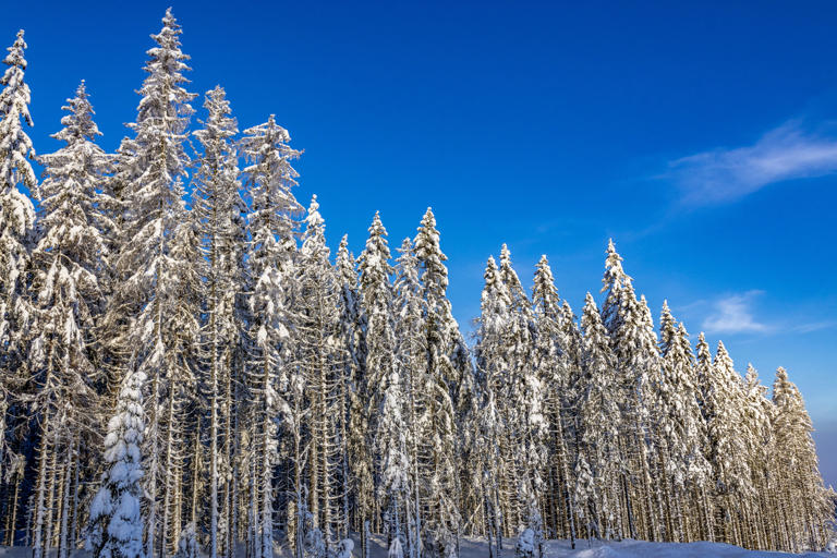 Knallforhold for skifolket i Sør-Norge denne helgen