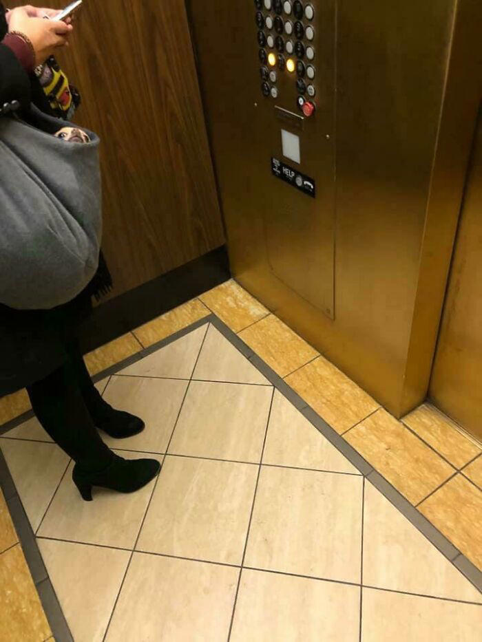 28 photos that look normal at first glance but become hilarious when ...