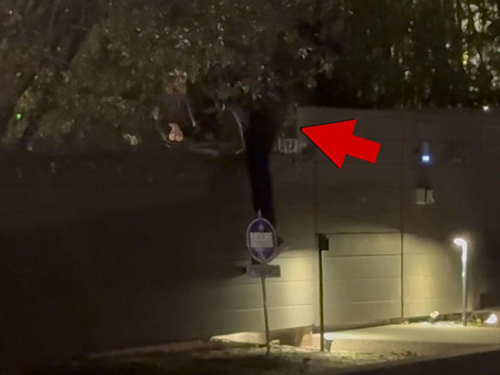 Tobey Maguire scales wall with beer in hand while out with mystery girl ...