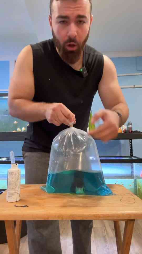 How to prevent fish from drowning during shipping