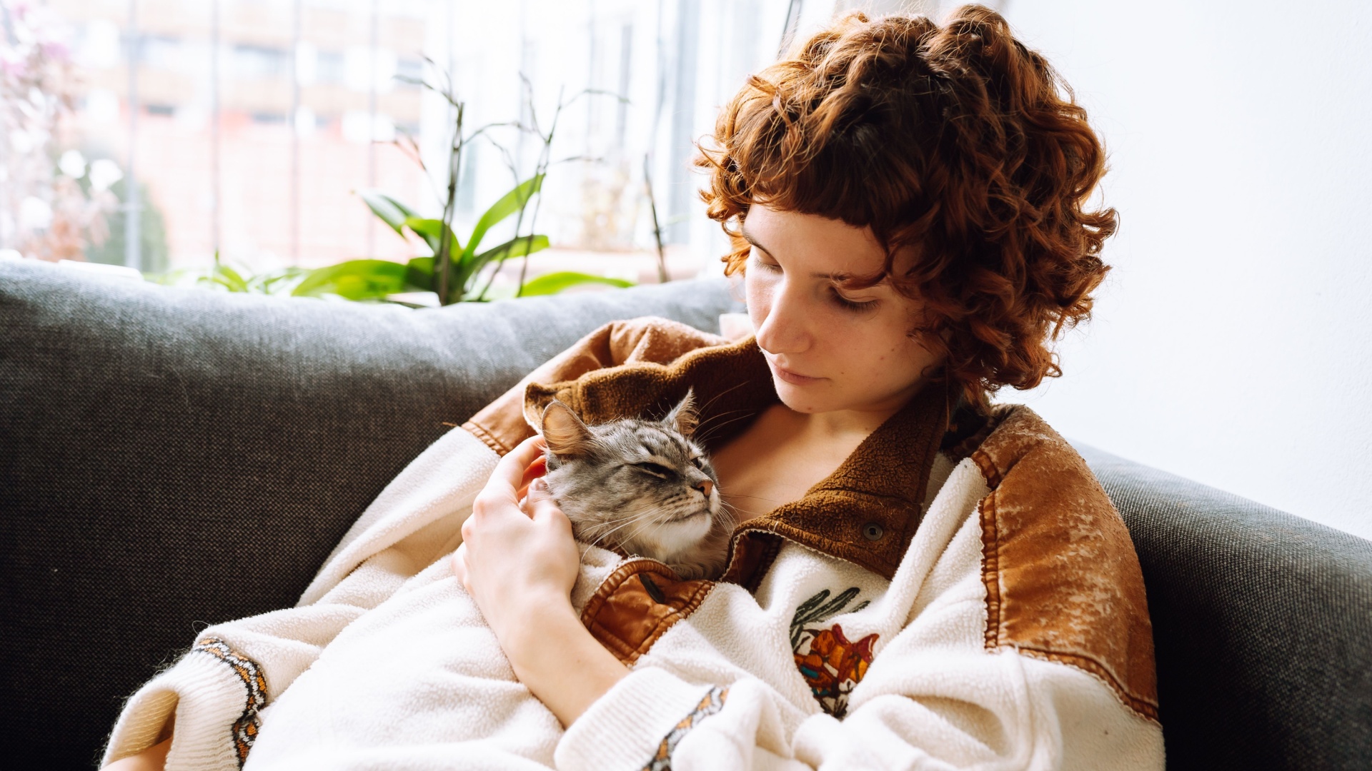 6 things you can do for your cat (if it’s living its last days) so it ...