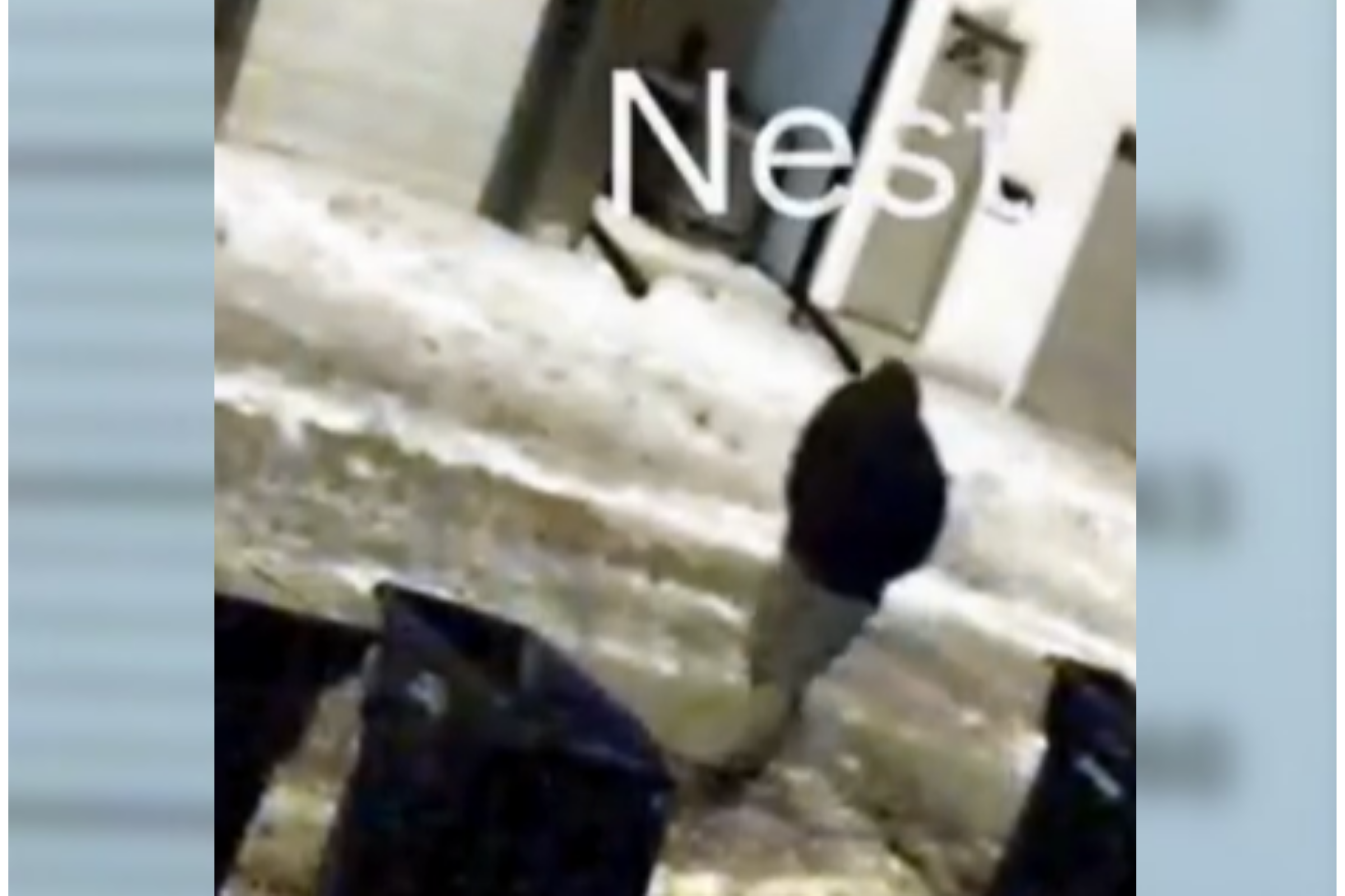 Police say "disturbing" murder of couple could hinge on one detail