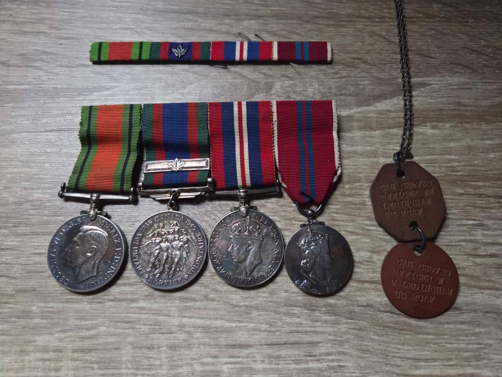 Saskatchewan man looking to reunite military medals with Winnipeg family
