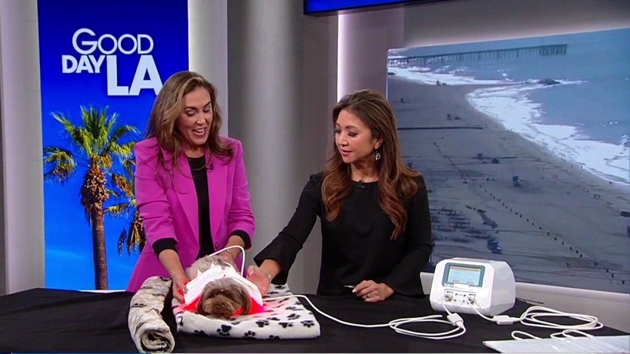 Ultrared light therapy works with pets to relieve pain