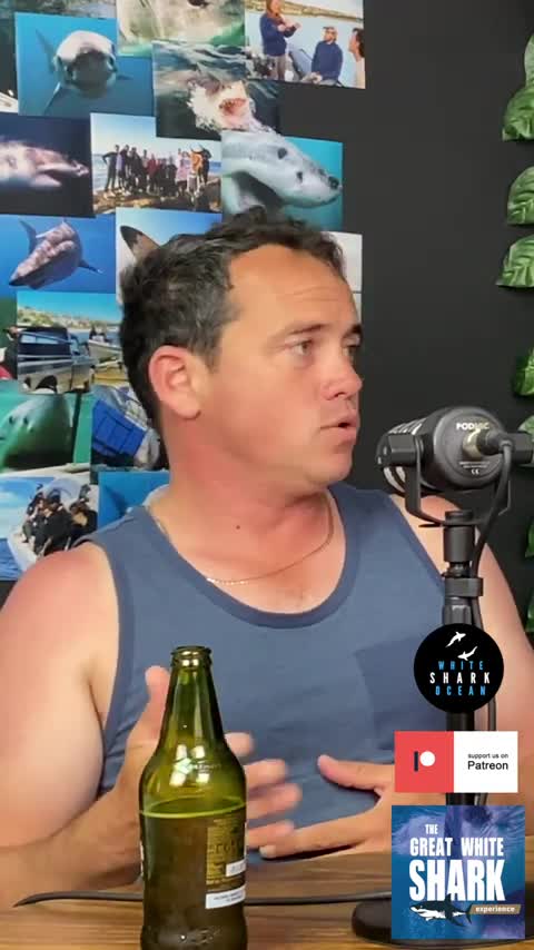 The Great White Shark Experience podcast, Elton Polly go dive Mossel ...