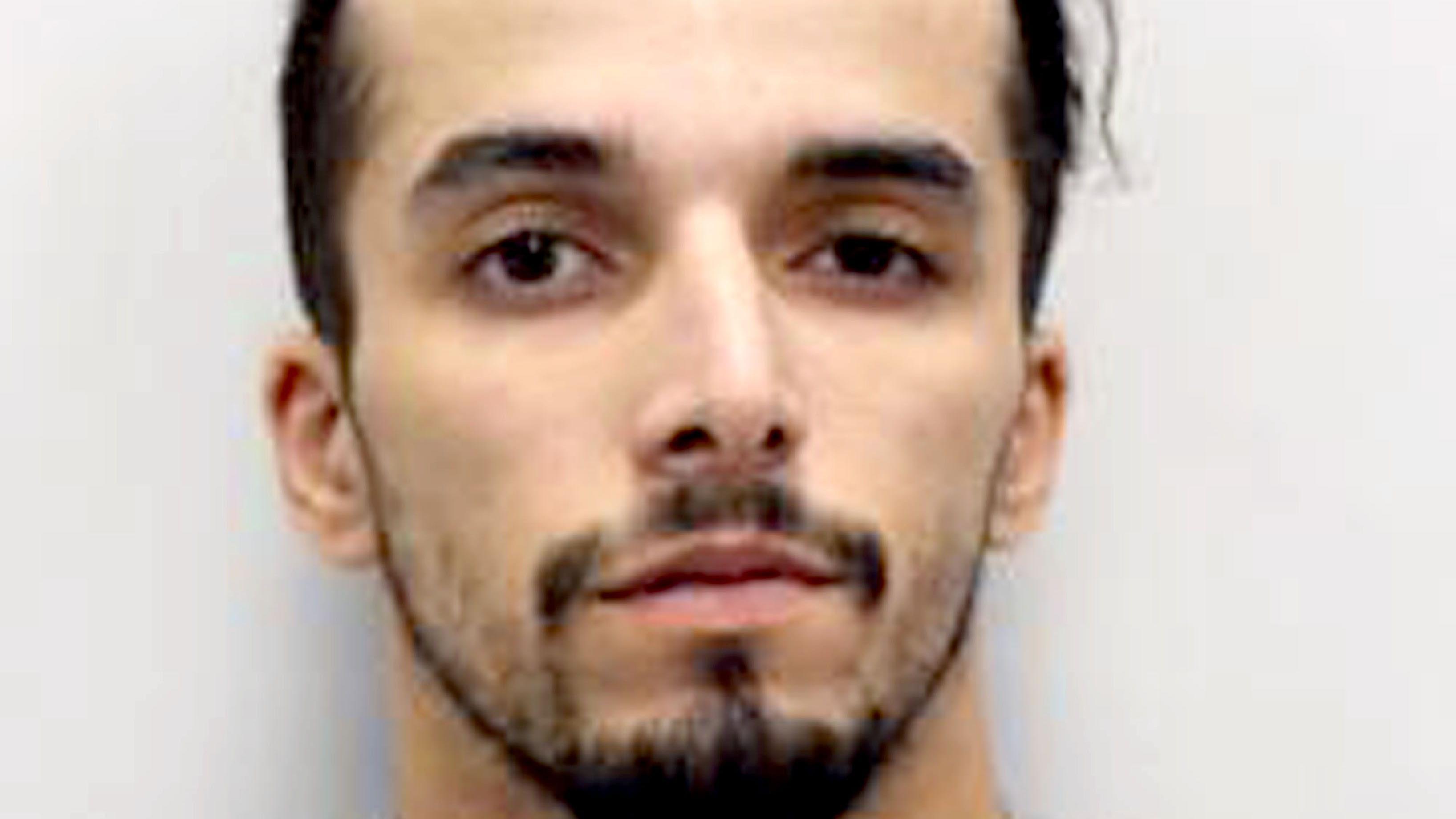 Wrongly freed sex offender admits biting police