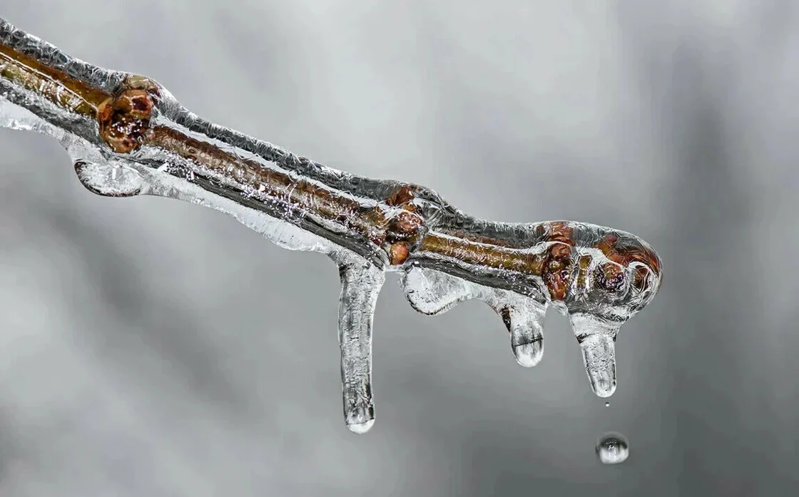 Καιρός - Καλλιάνος: Εάν διατηρηθούν τα προγνωστικά στοιχεία, θα ...