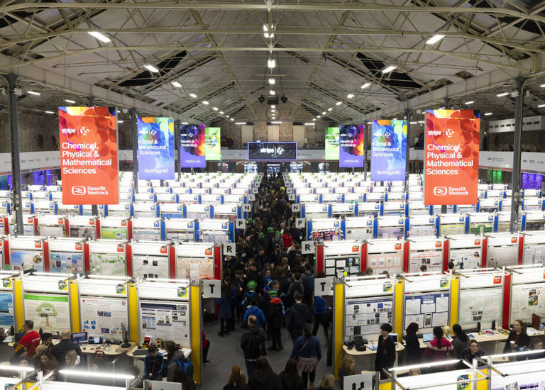 Young Scientist: Kerry student wins top prize for 'extraordinary' brain ...