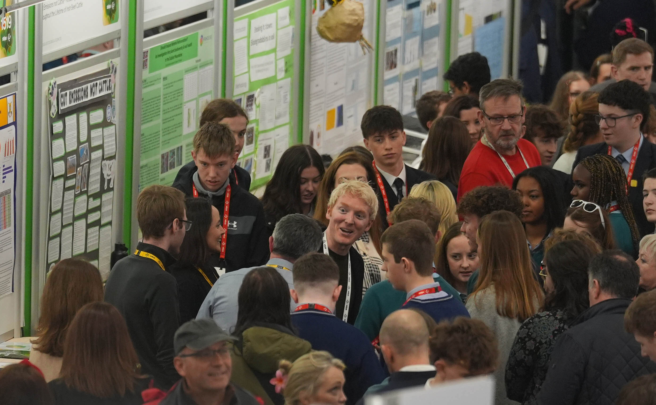 Kerry teen wins 2026 Young Scientist with brain cancer treatment tool