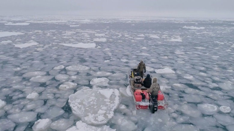 10 best movies set in Alaska, ranked
