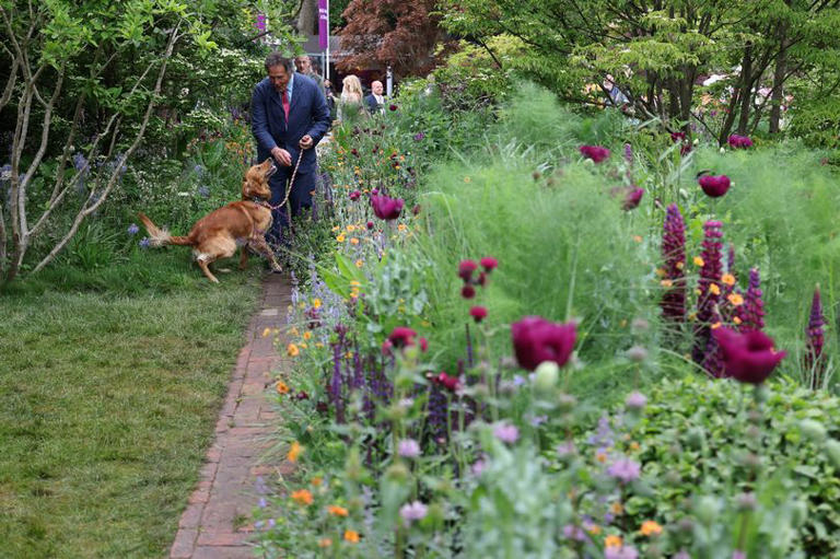Monty Don invited me into his garden – it’s very different to how it ...