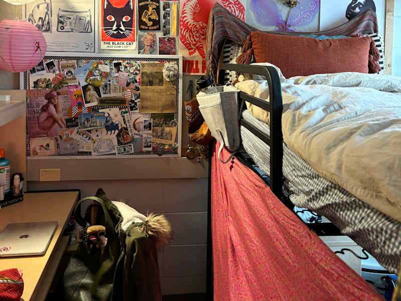 This UVM freshman's cozy-maximalist dorm follows the smartest decor ...