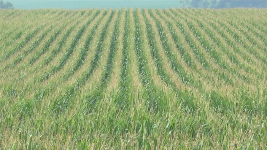 Seminar for local farmers hosted by Wabash Valley Foundation