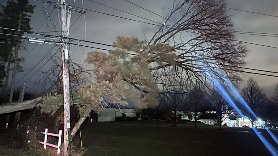Gallery: High winds knock down trees, power lines around Rochester