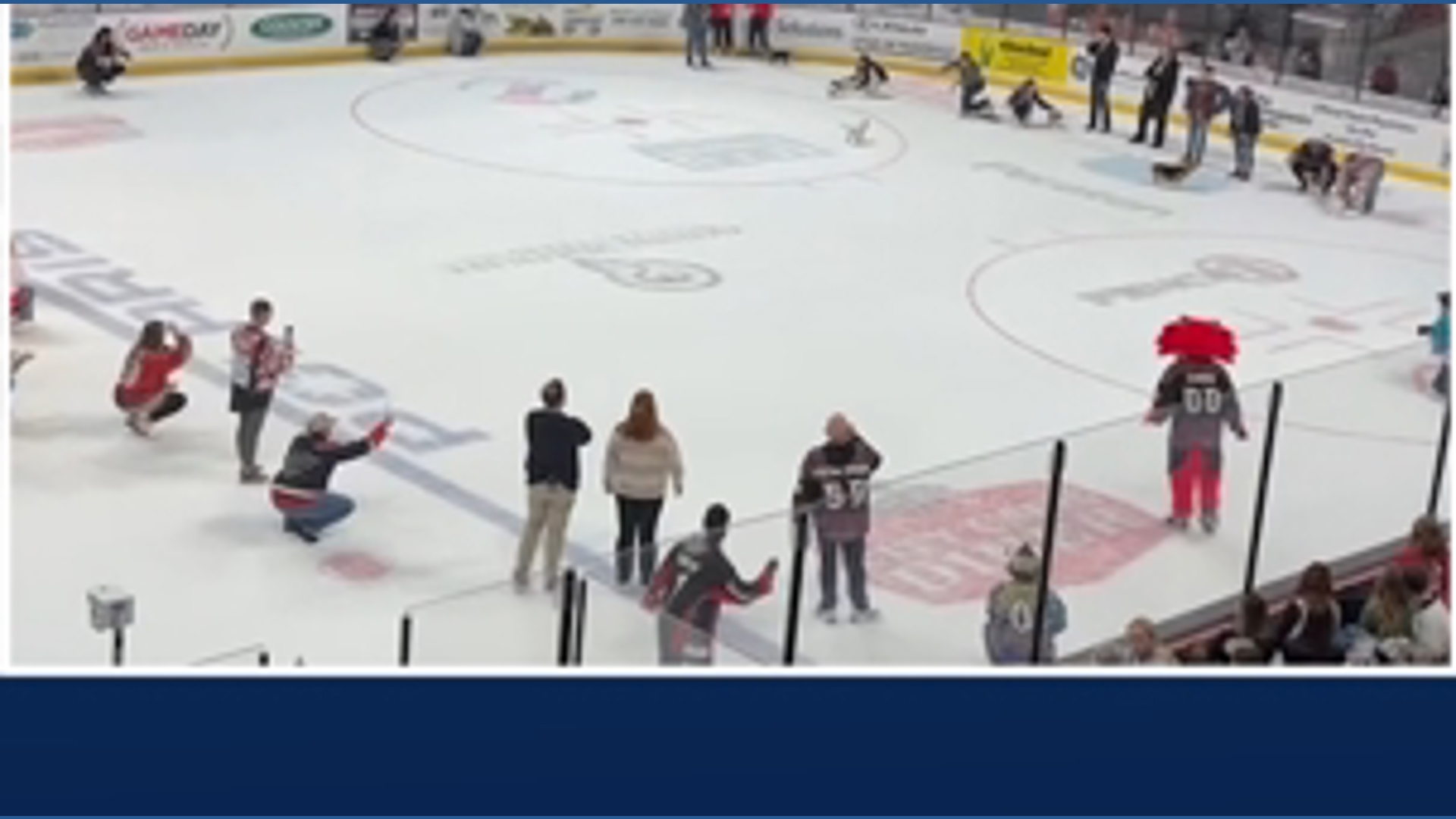 Huntsville Havoc hosts small dog race