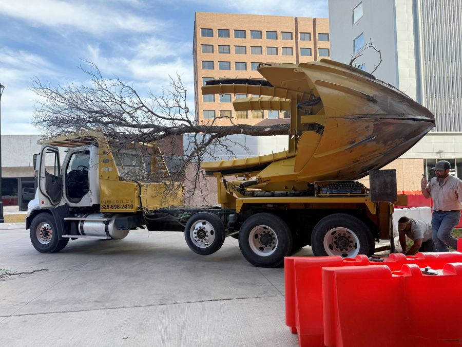Abilene’s Cypress Street improvement project adds 28 trees