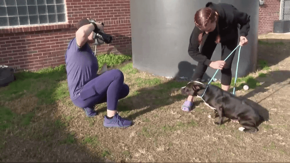 Volunteer pet photographer transforms shelter dogs' lives with ...