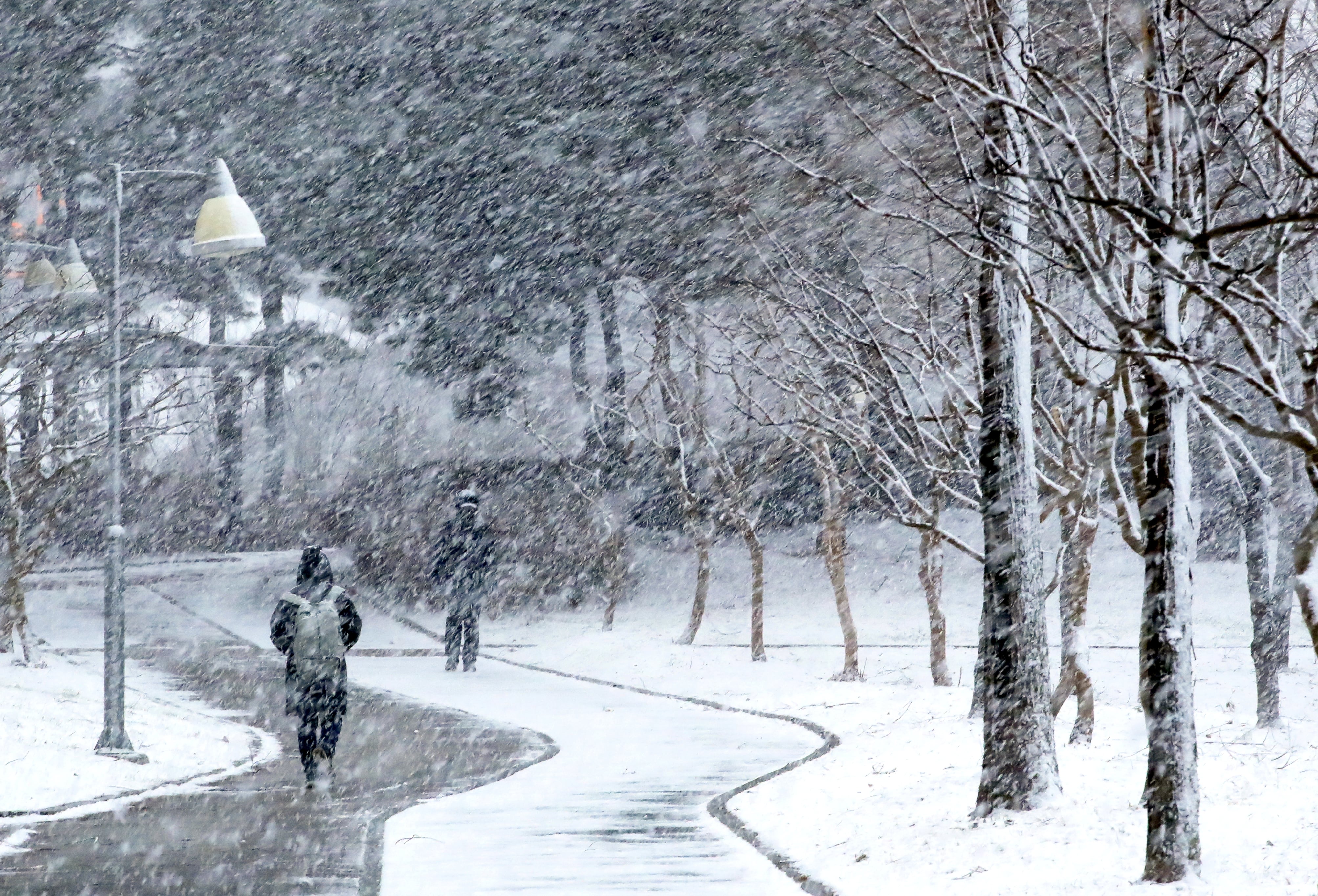Heavy snowfall brings 20cm to Honam region