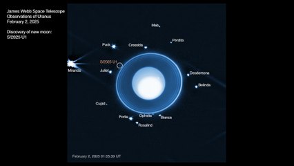 James Webb Space Telescope Discovers Moon Orbiting