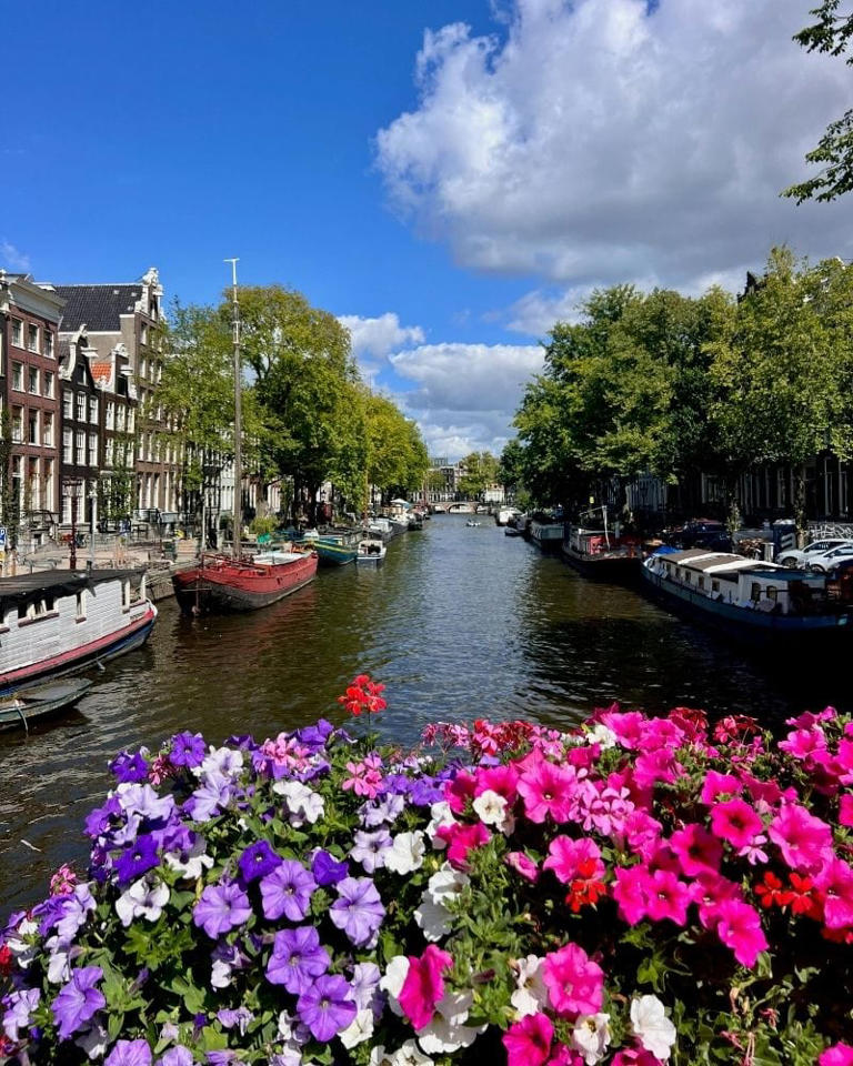 Officially done with the USA? Experts say these 10 countries offer ...