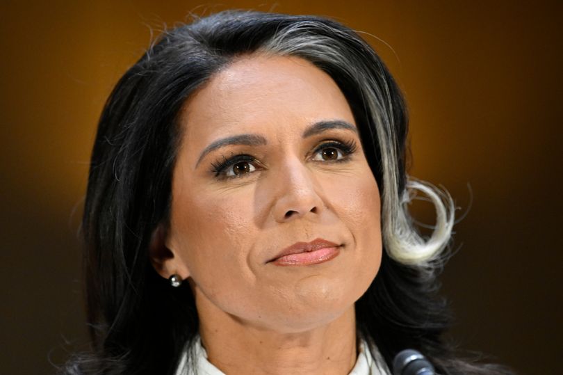Tulsi Gabbard humiliated by cruel rumor floating around White House as ...