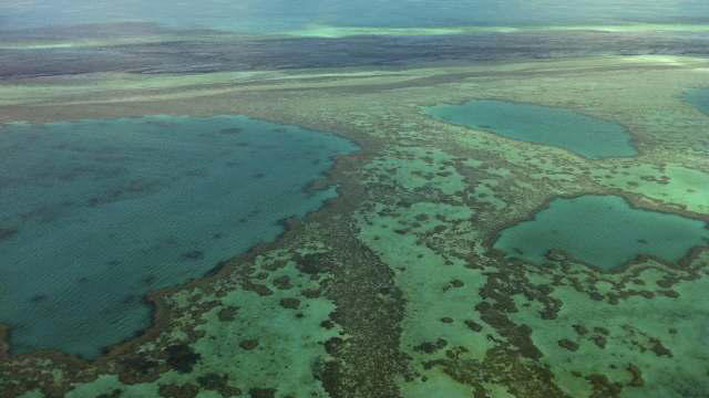 Researchers make stunning discovery while studying Great Barrier Reef ...