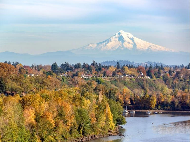 Millions of Americans are moving to this US state for the cheaper cost ...