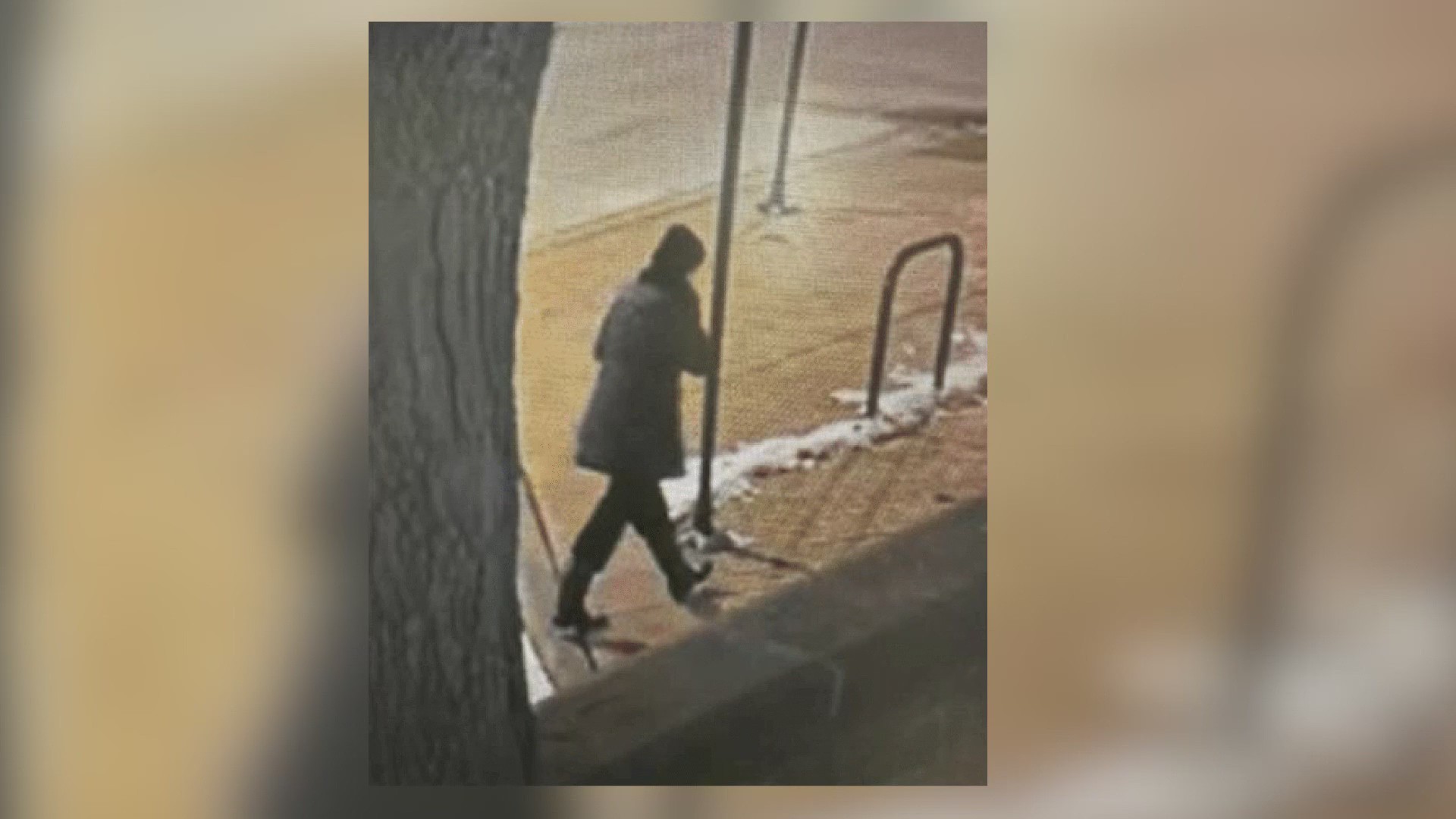 Loved ones still searching for missing CPS teacher after new video ...