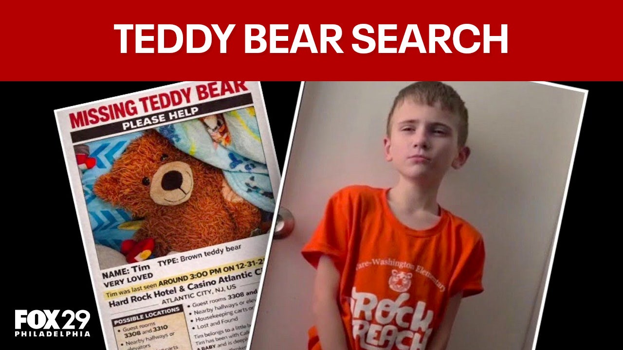 'Bear-y serious': Family, casino search for missing teddy bear beloved ...