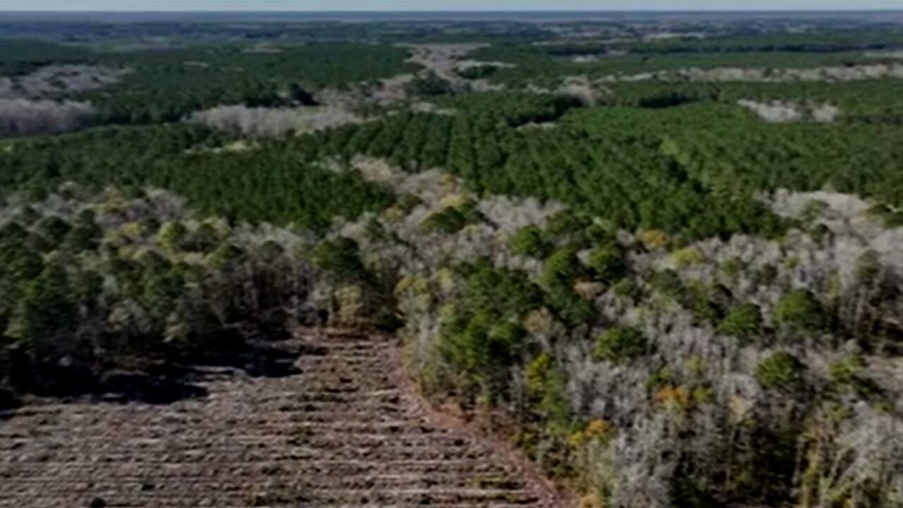 Landowners sue Colleton County over data center ordinance