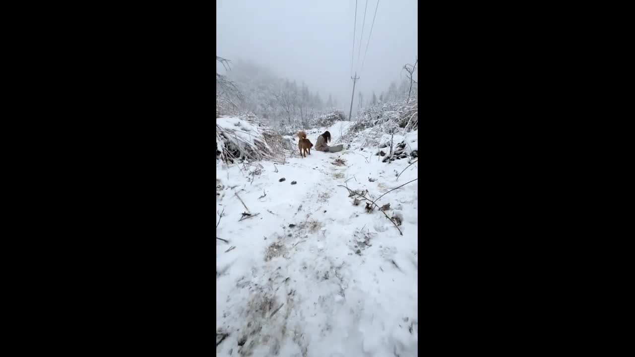 Playful winter moment as woman slides in Turnaround Village, Hunan, China