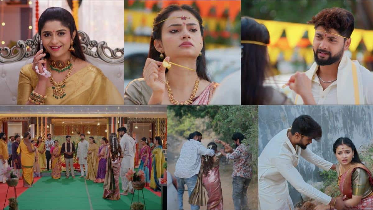 Chinni serial today January 10th: చిన్ని సీరియల్: మధుపై దాడి.. నాగవల్లి ...