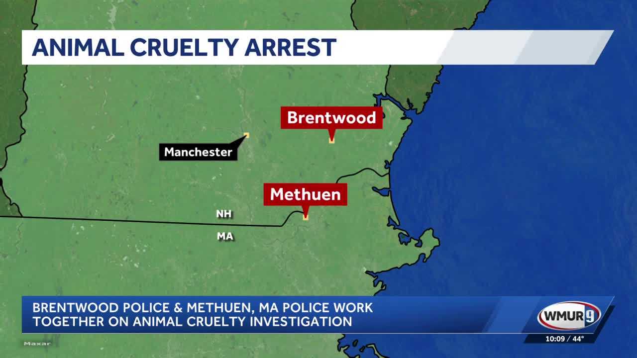 Brentwood and Methuen, Massachusetts, police work together on animal ...