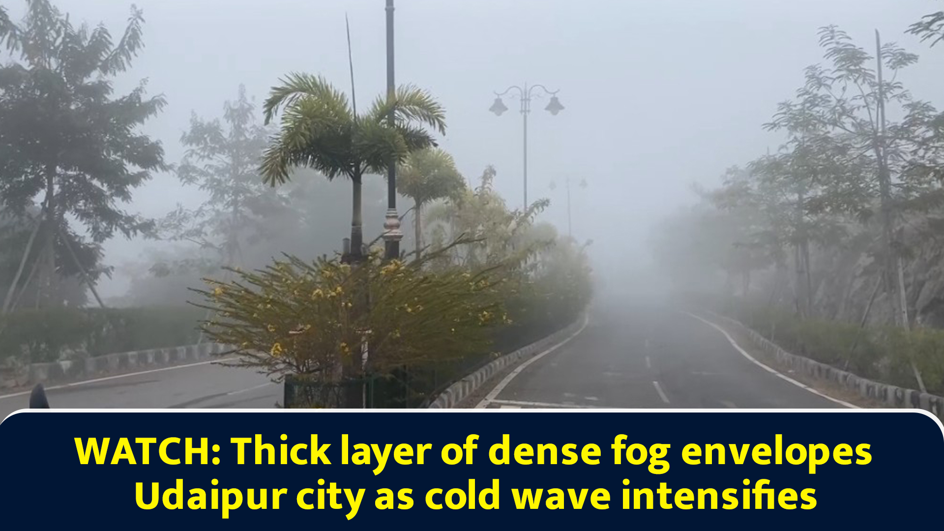 Watch: Thick layer of dense fog envelopes Udaipur city as cold wave ...