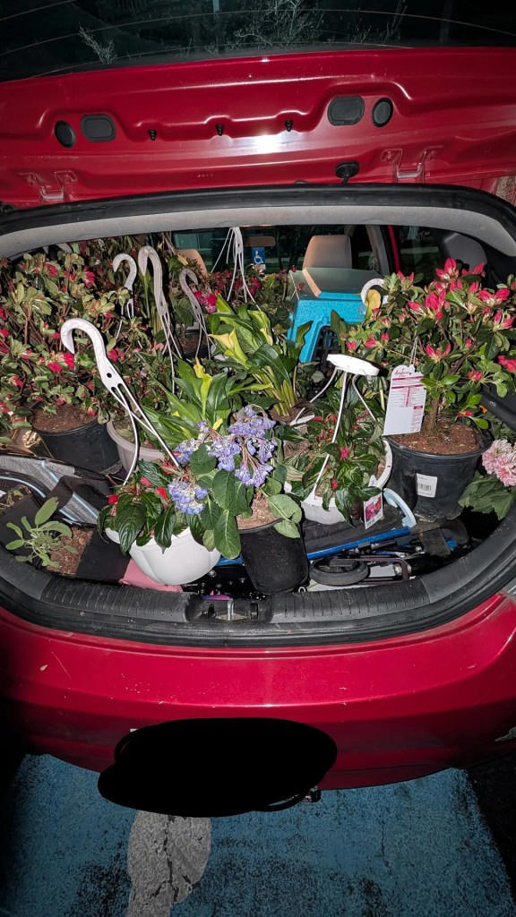 Passerby shares photo of stunning discovery in grocery store trash: 'I ...