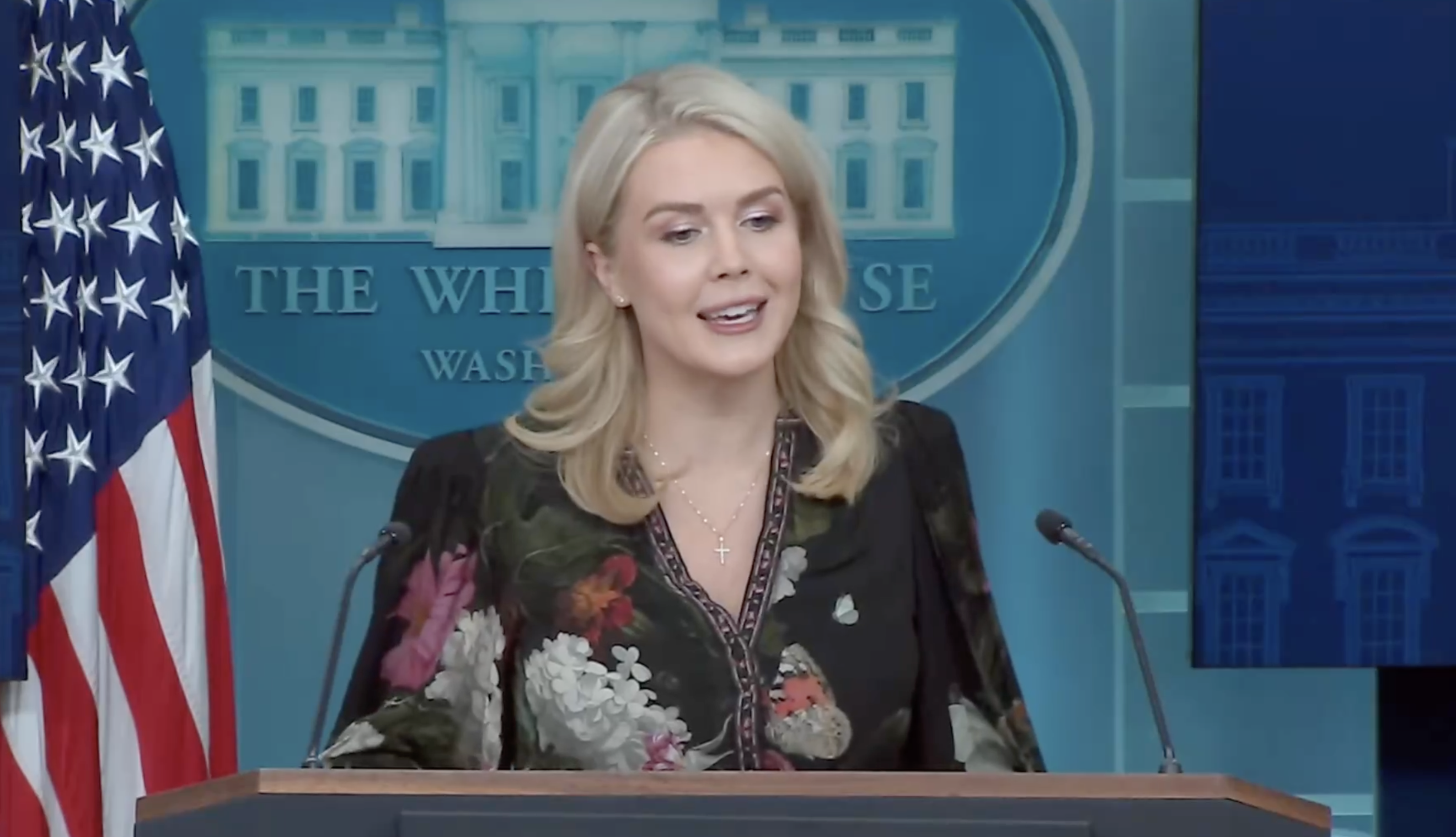 'What evidence does he have?': Karoline Leavitt struggles to back up ...