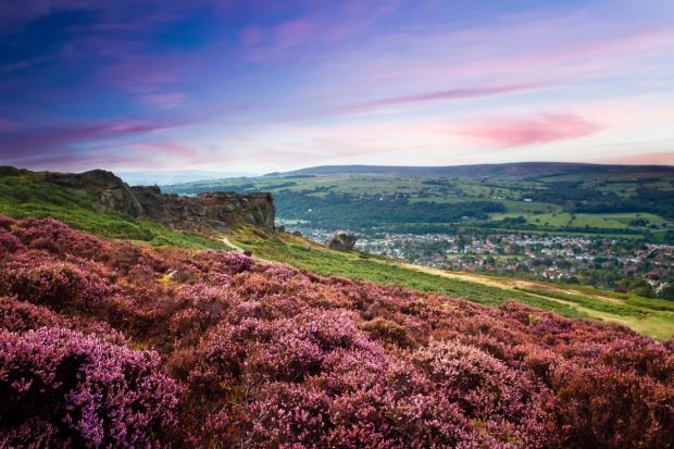 Why this 'bucket list' Bradford nature reserve is among 2026's 7 ...