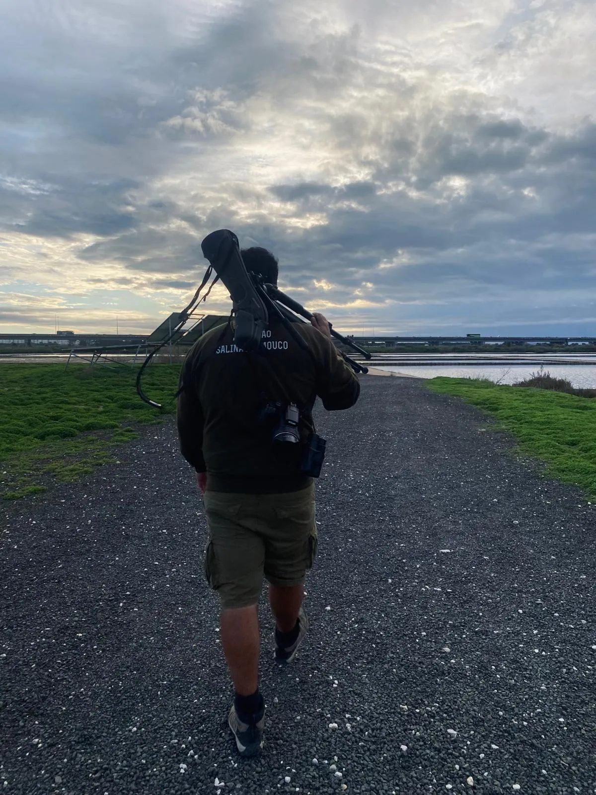 Sabes o que significa orniterapia? O Praia do Sal oferece a experiência ...