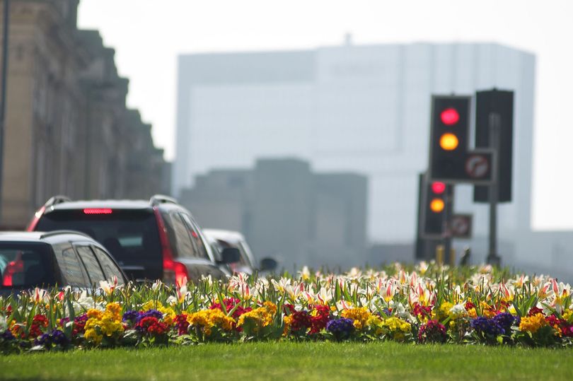 New cameras to punish drivers for specific traffic offences in ...