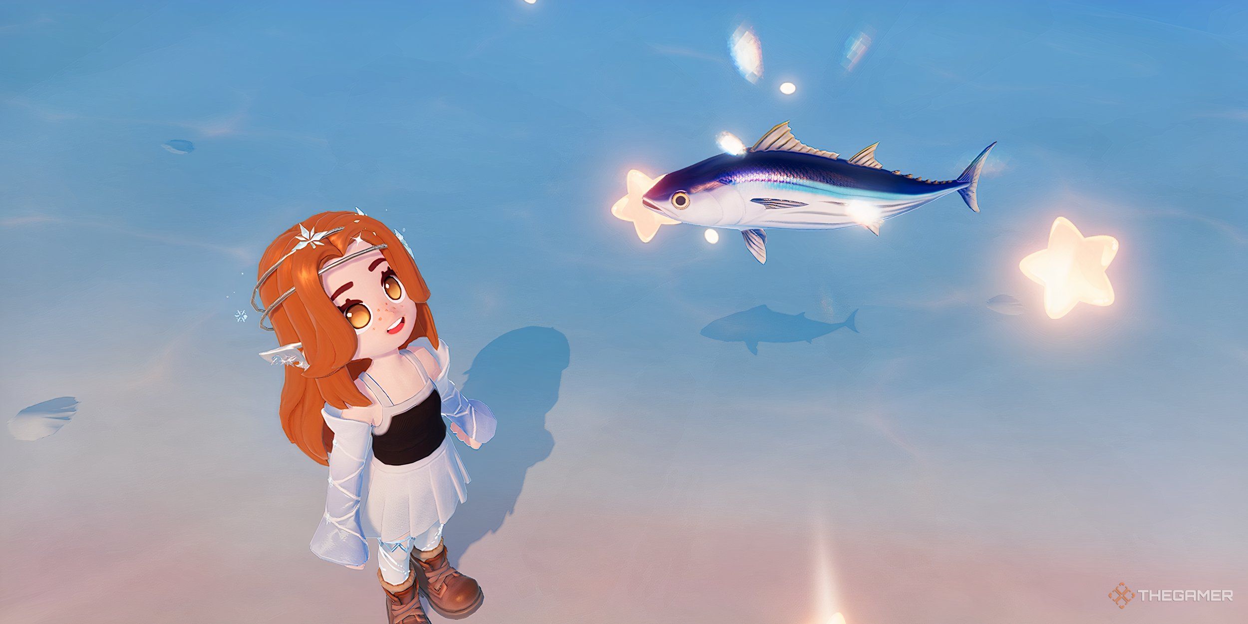 All fish and where to find them in Heartopia