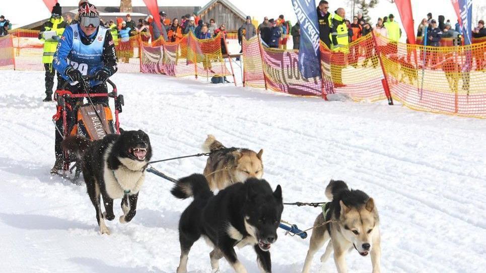 The sled dog champion who trains on the Sussex Downs