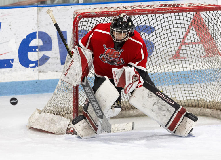 Keegan Nephin’s go-ahead goal helps Manheim Township ice hockey defeat ...