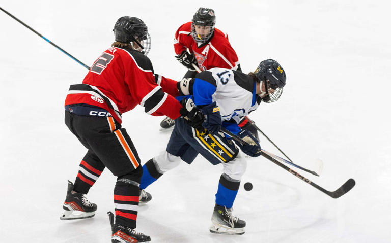 Keegan Nephin’s go-ahead goal helps Manheim Township ice hockey defeat ...