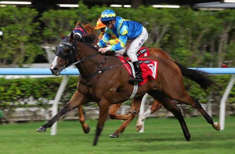 Lyle Hewitson and James Orman look to continue momentum with strong Sha ...