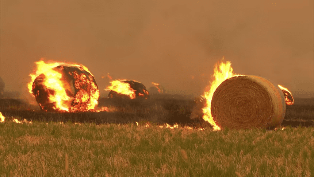 How an extreme heatwave turned bushfires into a national emergency in ...
