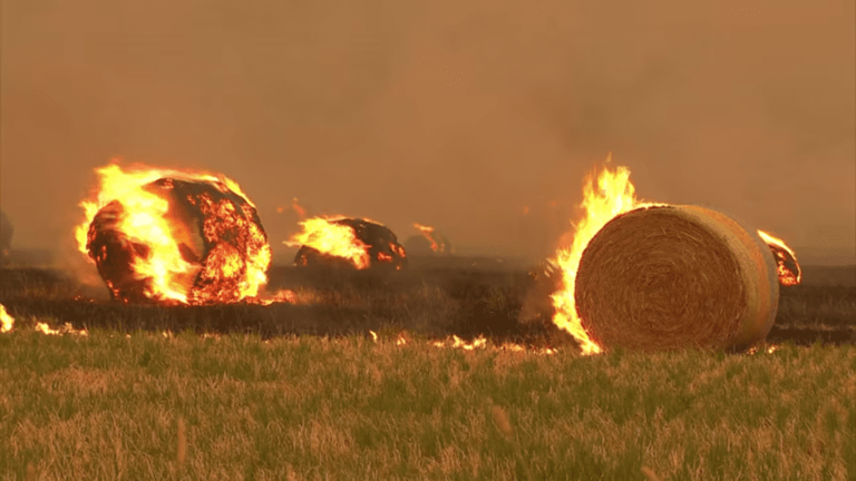 How an extreme heatwave turned bushfires into a national emergency in ...