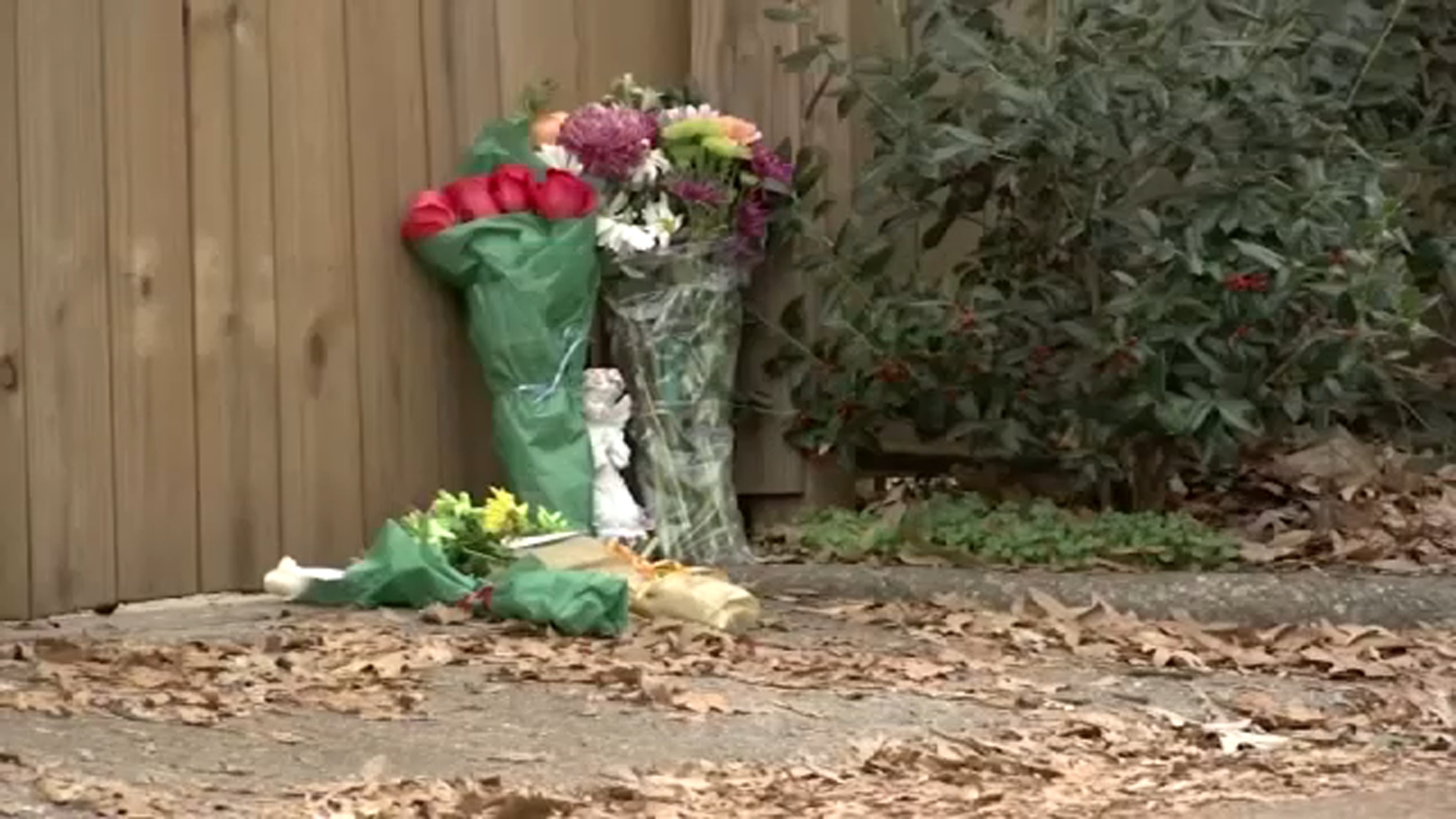 Zoe Welsh: 911 transcript reveals moment Raleigh teacher recognized ...